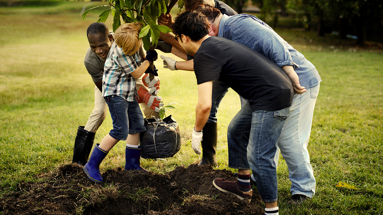 Planting Hope campaign supports 42 projects