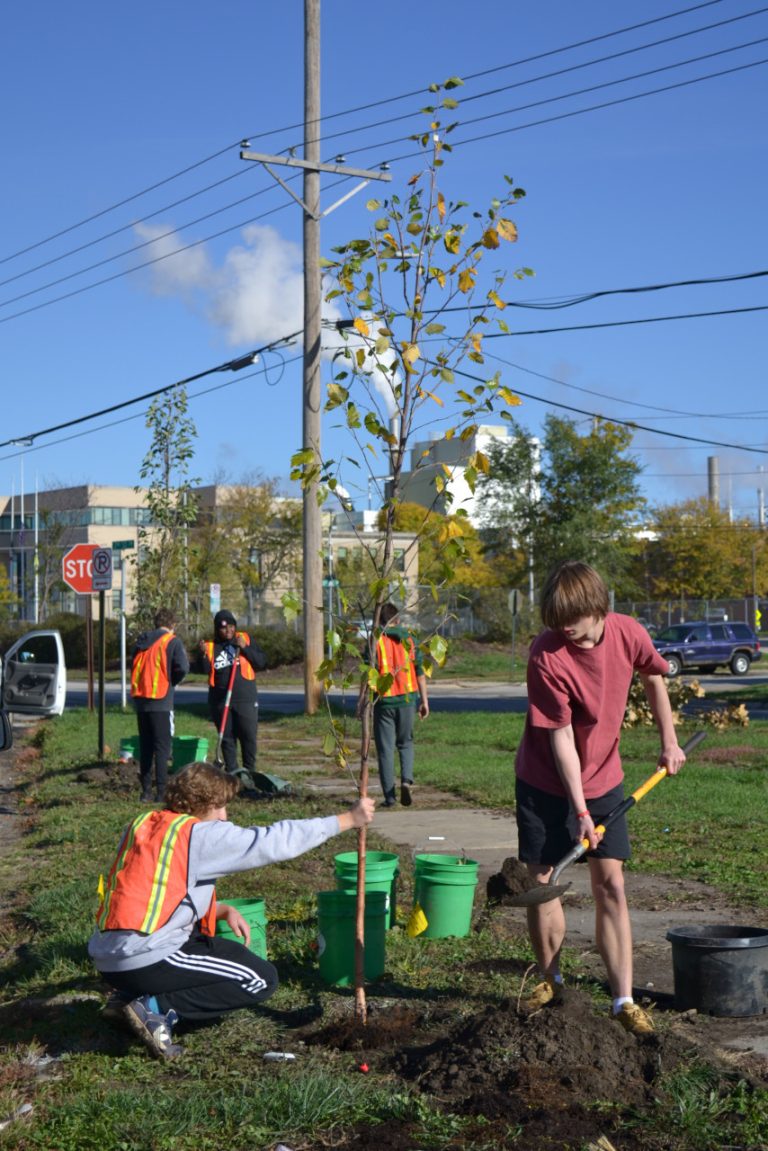 Trees Forever launching ‘Grow the Love’ public fundraising campaign