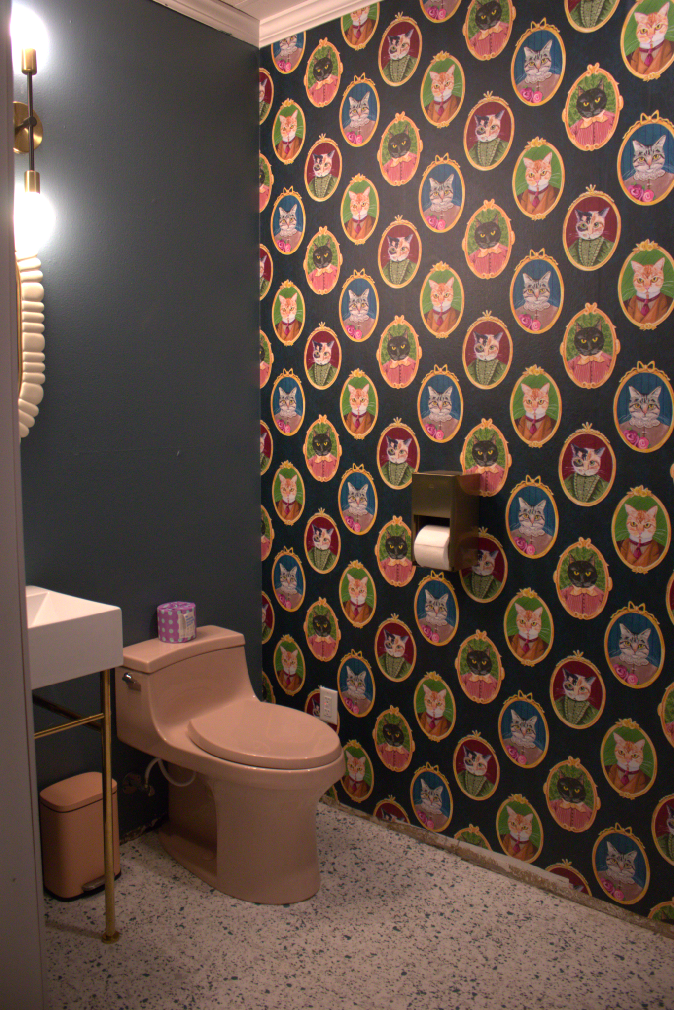 Kitty Corner Social Club opens in downtown Iowa City